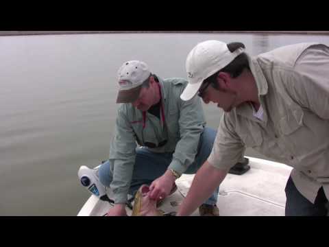 Catfish Fishing - Secrets, Tricks, and Tips to Catching Big Catfish ...