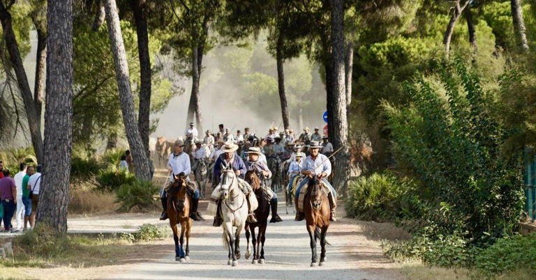 Reproducción de yeguas: guía completa de celo, cría y parto