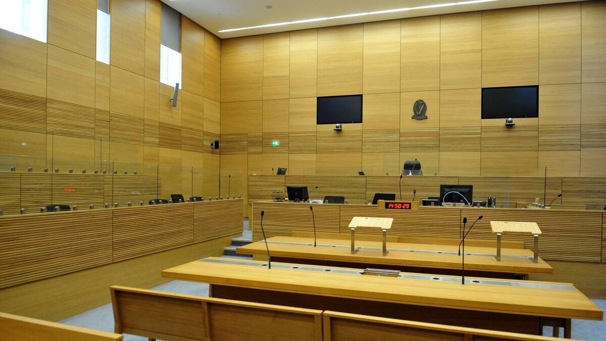 Woman feared for children's safety as Cork bag snatcher almost ...