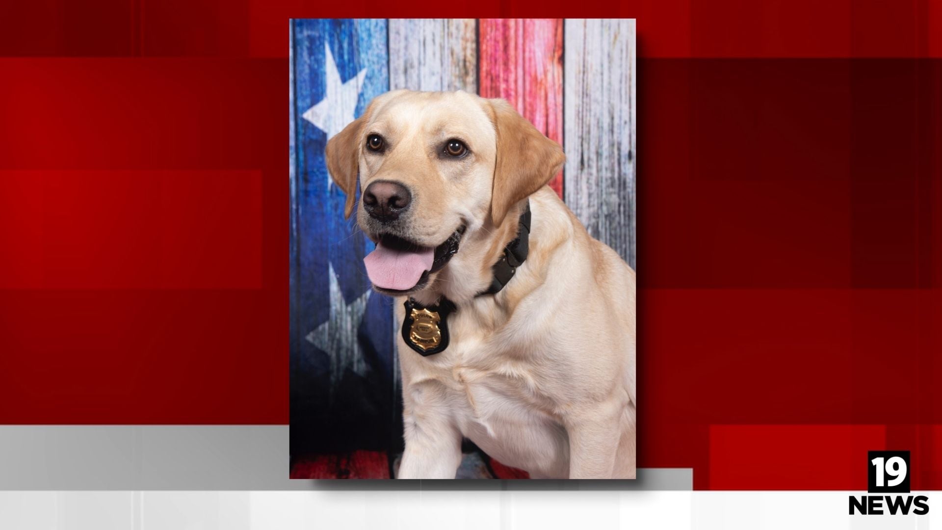 Solon Police warn of scammers asking for donations for police and fire dogs