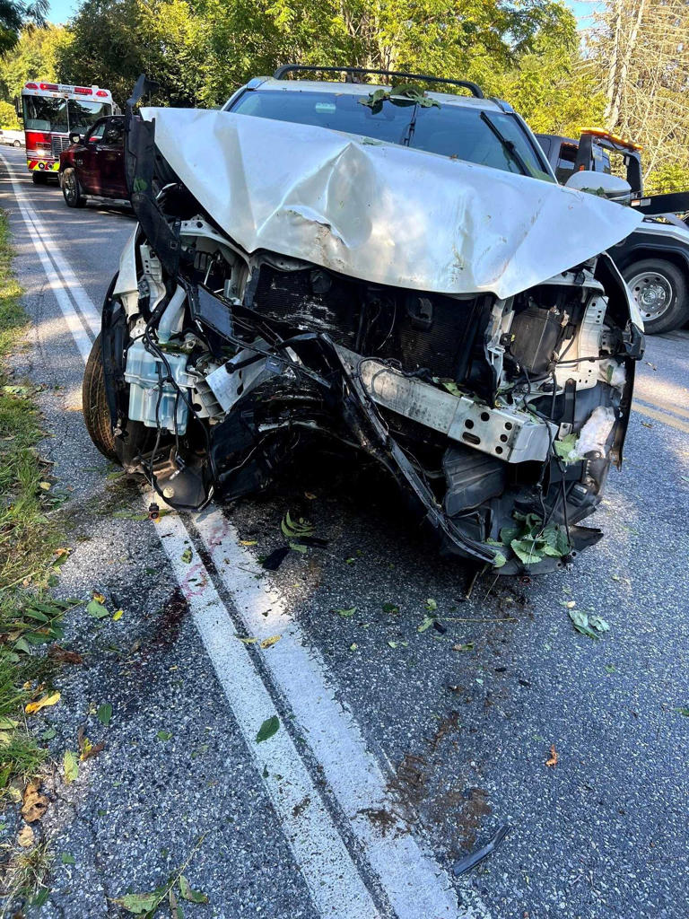 Person taken to hospital after SUV crashes into tree, causing it to topple