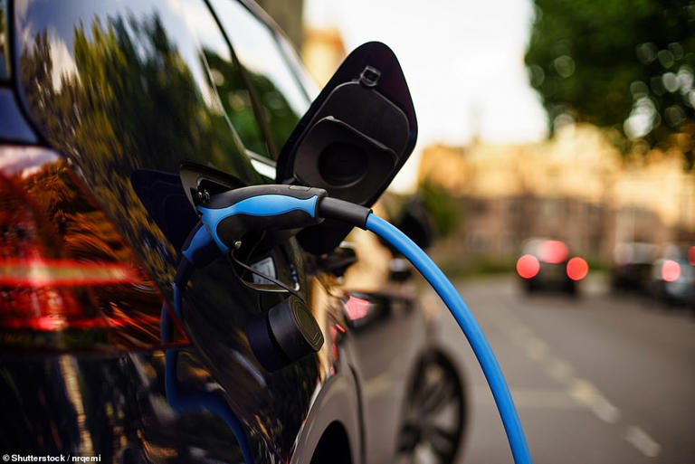 EV sales hit record high as Electric Car Grant kicks in