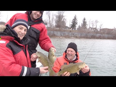 Winter Steelhead and Bass using the T Turn Bait Rig and Live Minnows
