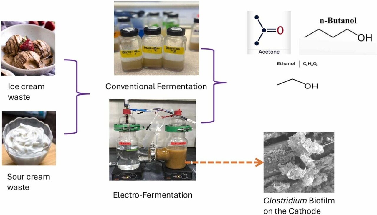 Giving food waste fermentation a 'jolt' increases chemical production