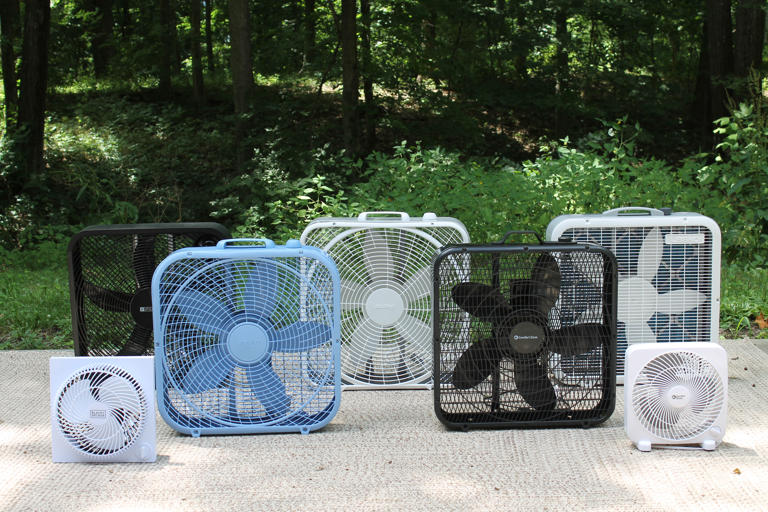 The Best Box Fans for Any Room in Your Home, Tested