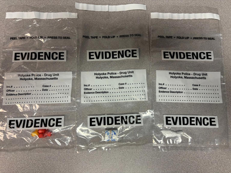 Holyoke Police arrest 12 in drug operation, launch park engagement ...