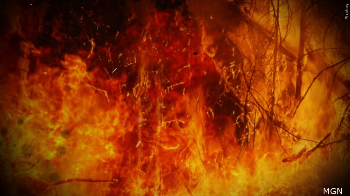 Kershaw County Fire, SC Forestry works to quell large brush fire