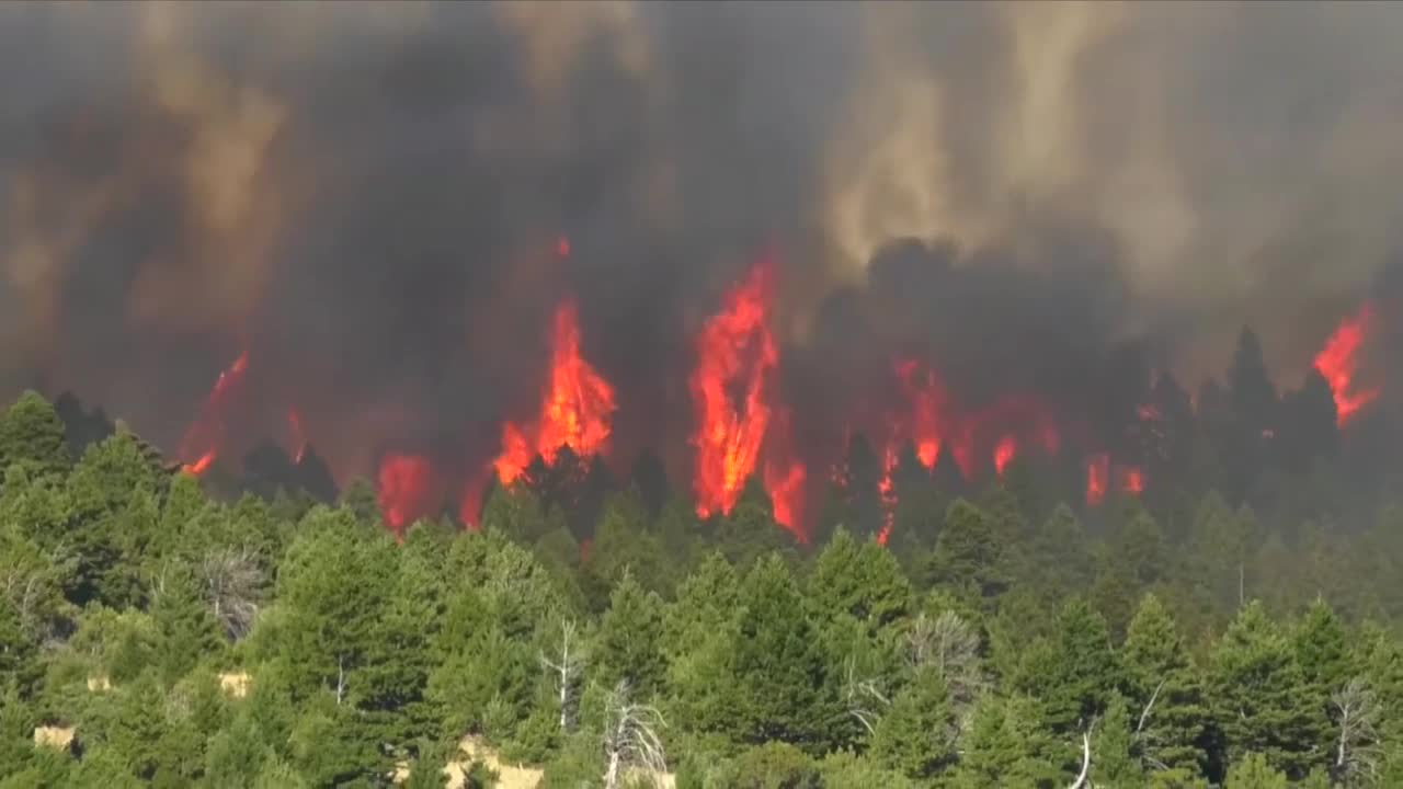 Frontline memories from the day the Bridger Foothills Fire ignited
