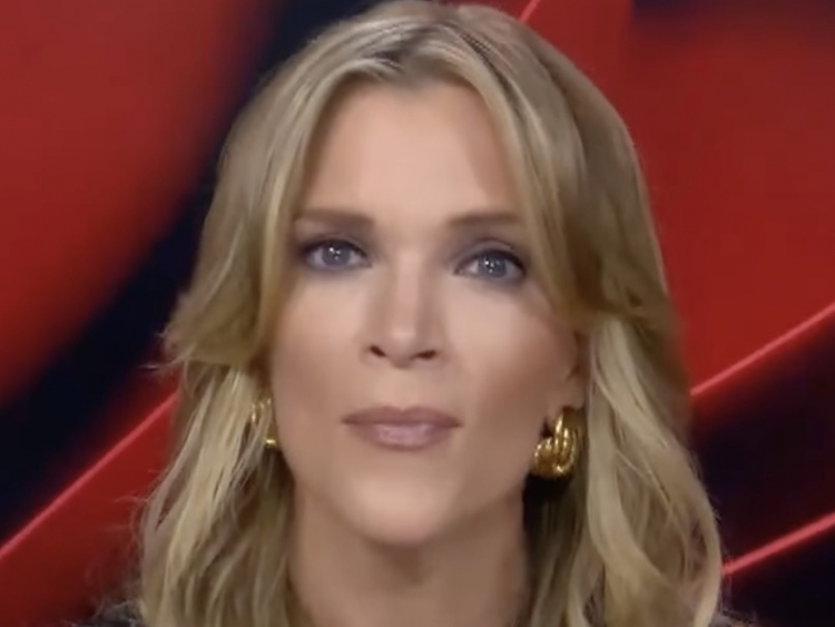 Megyn Kelly: ABC News Reporter Is A Moron For Rewriting Kirk Assassin's ...