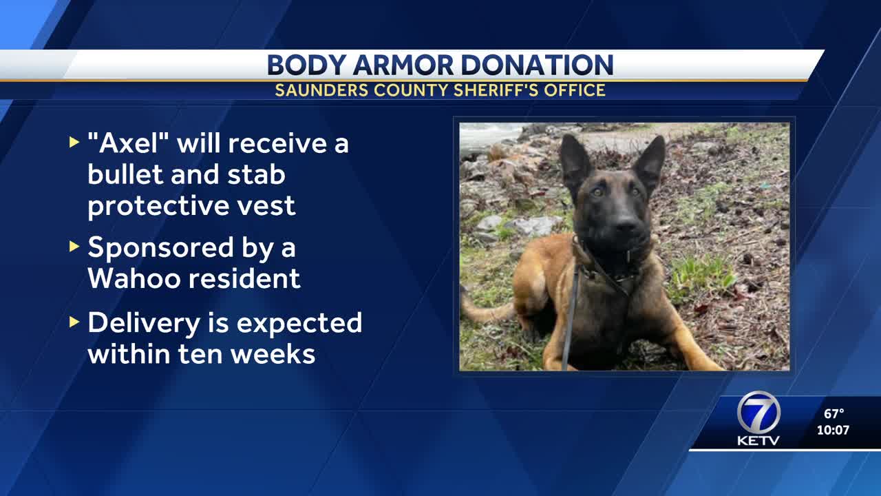 K-9 Axel will receive special body armor vest, Saunders County Sheriff ...
