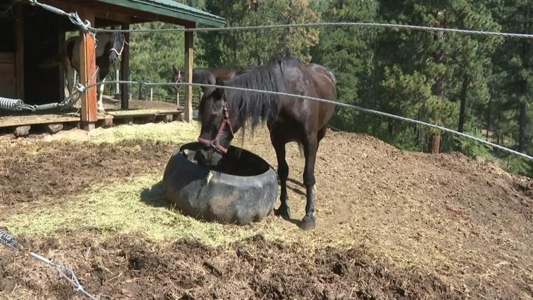Exploring Idaho: Flowing Springs Ranch showcases Robie Creek's beauty