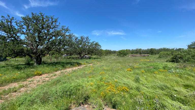 Texas ranch owners raffling off 76-acre ranch for less than a steak ...