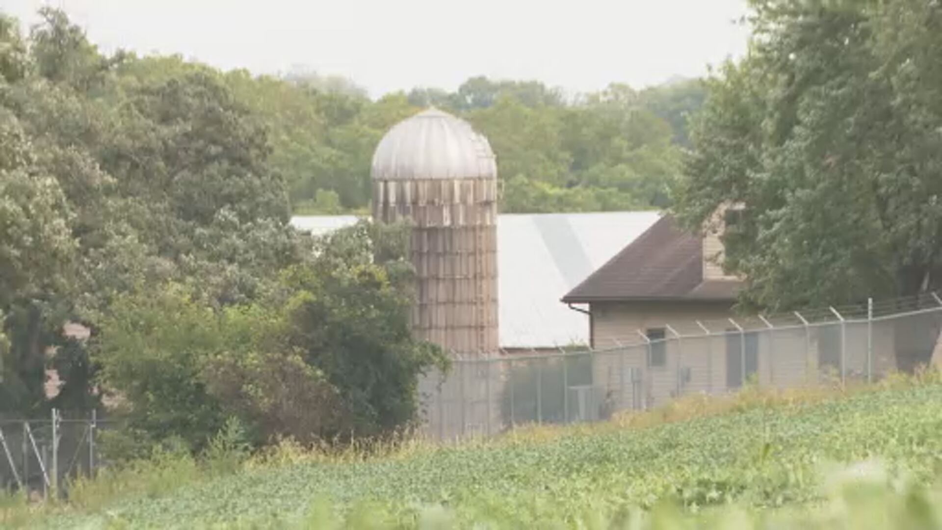 Ridglan Farms plans to wind down operations after remaining dogs ...