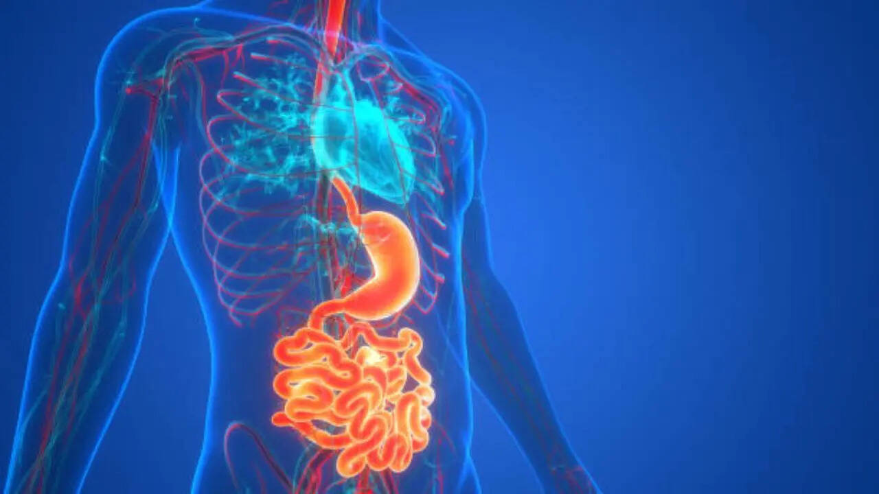 5 Fast-Growing Stomach Cancers You Shouldn’t Ignore