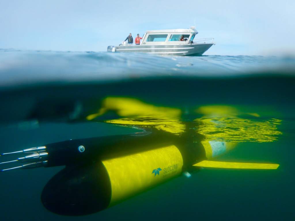 Worrying drop in ocean oxygen documented off B.C. coast