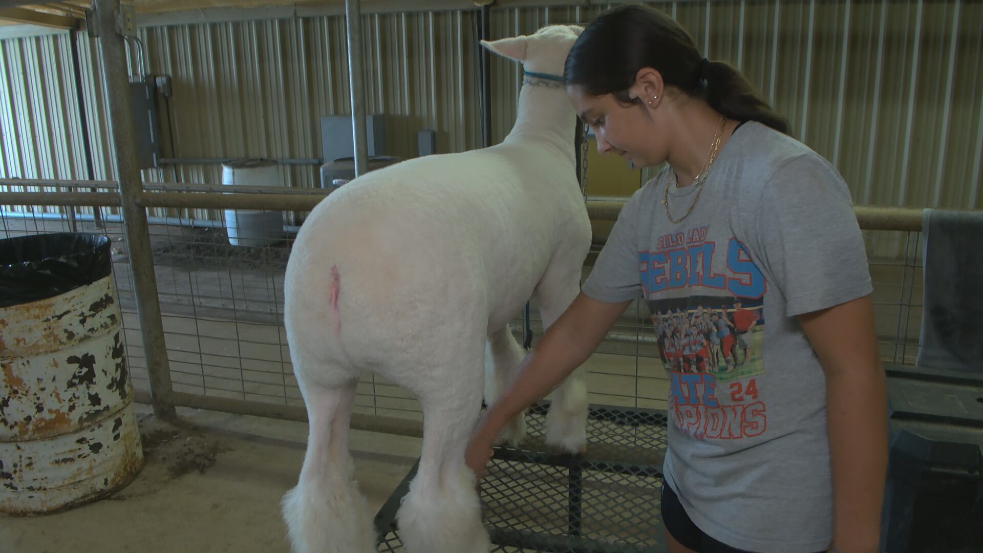 Fair season is here, and so is the Bryan County Free Fair