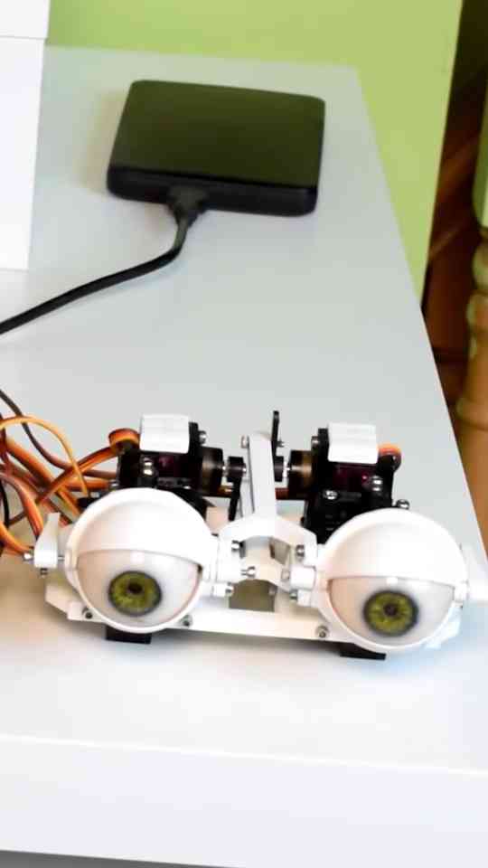 My 3D Printed Animatronic Eyes | DIY Robotics Build