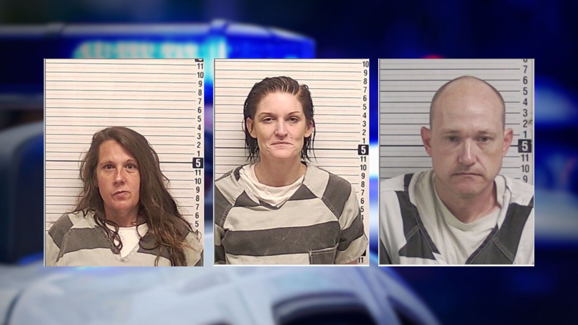 Three arrested on various charges in Callaway