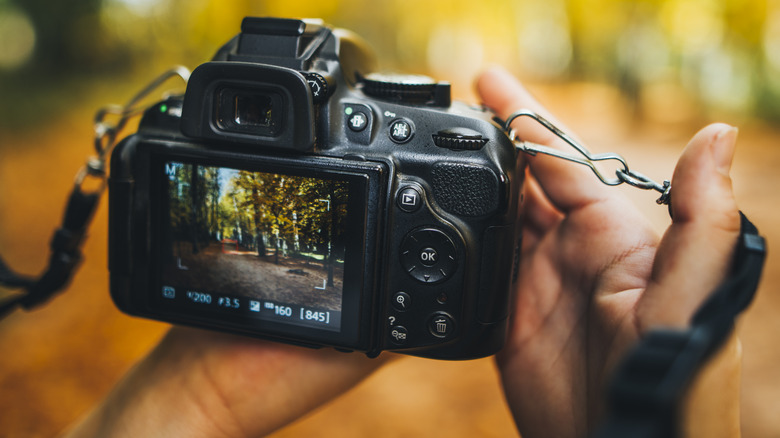 5 Tips To Make Your DSLR Photos Look More Professional