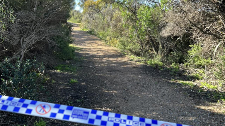 Huge update in missing head search