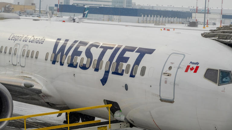 The Airline You Might Want To Avoid If You're Flying With A Cat