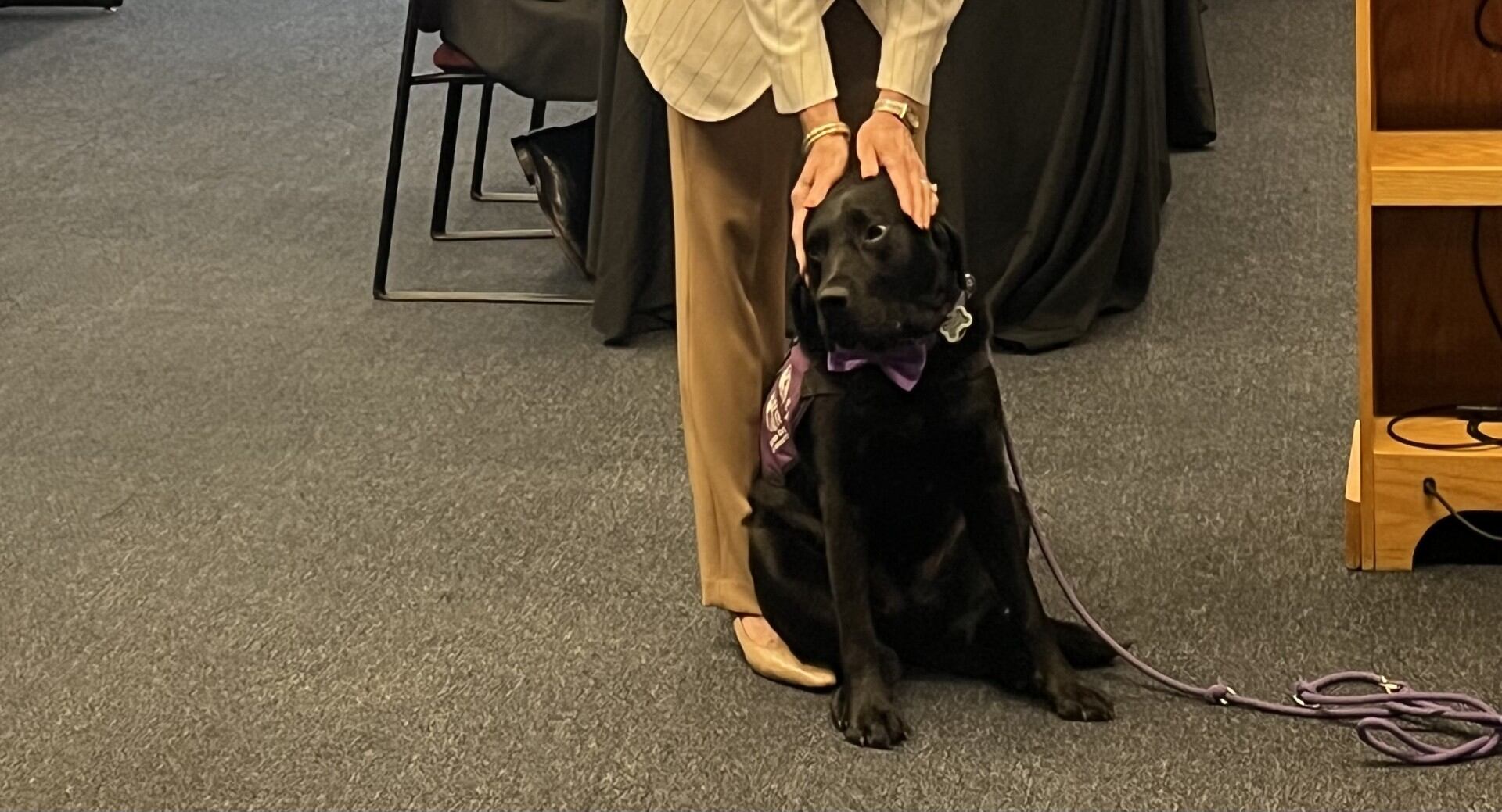 After brief objection, judge OKs emotional support dog at Mobile County ...