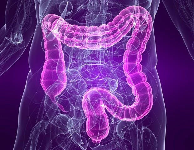 Obesity study reveals gut fat's unique inflammatory role and immune ...