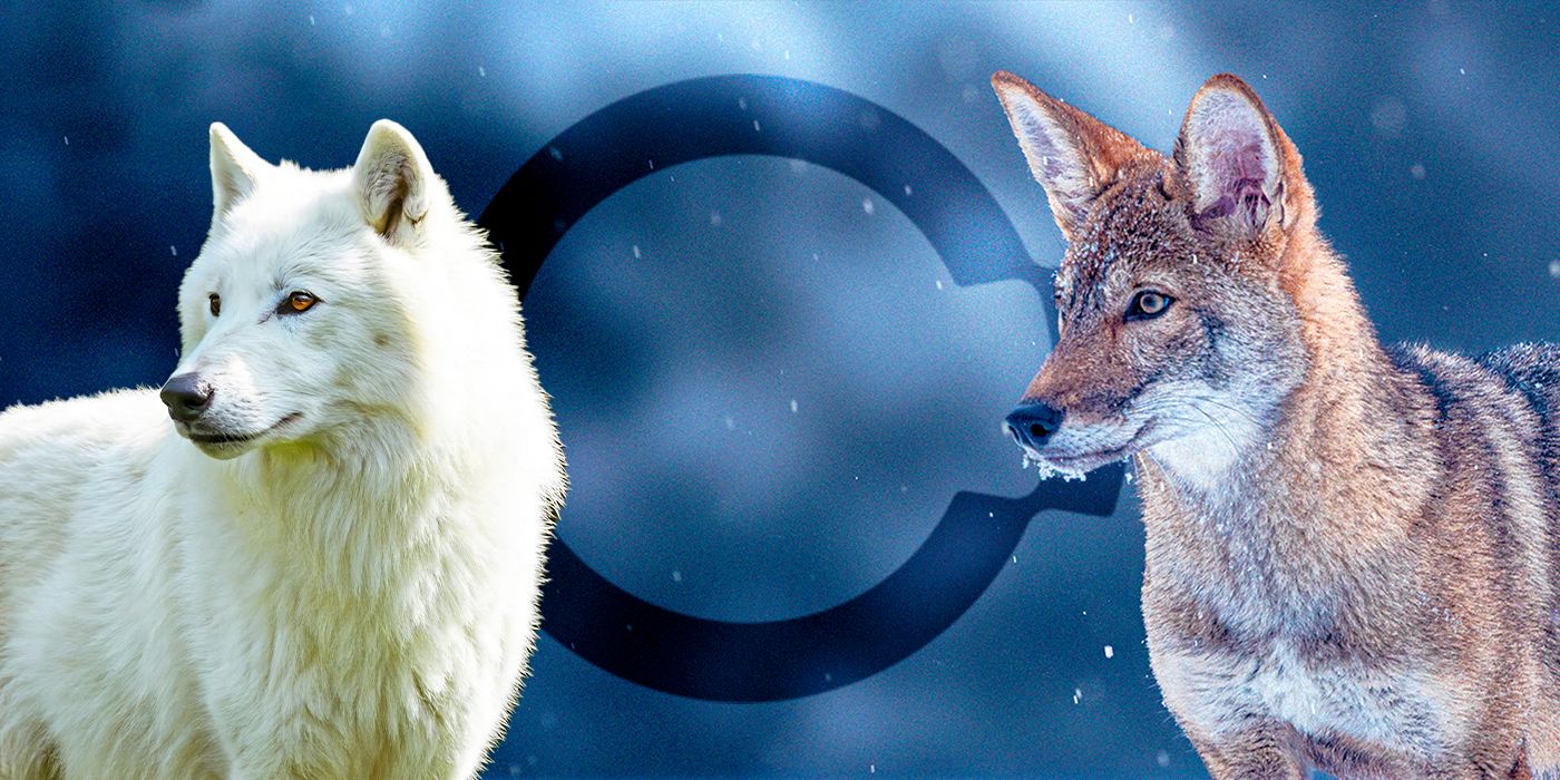 'I Think It's Nuts': Colossal Biosciences Exec On Seeing the ...