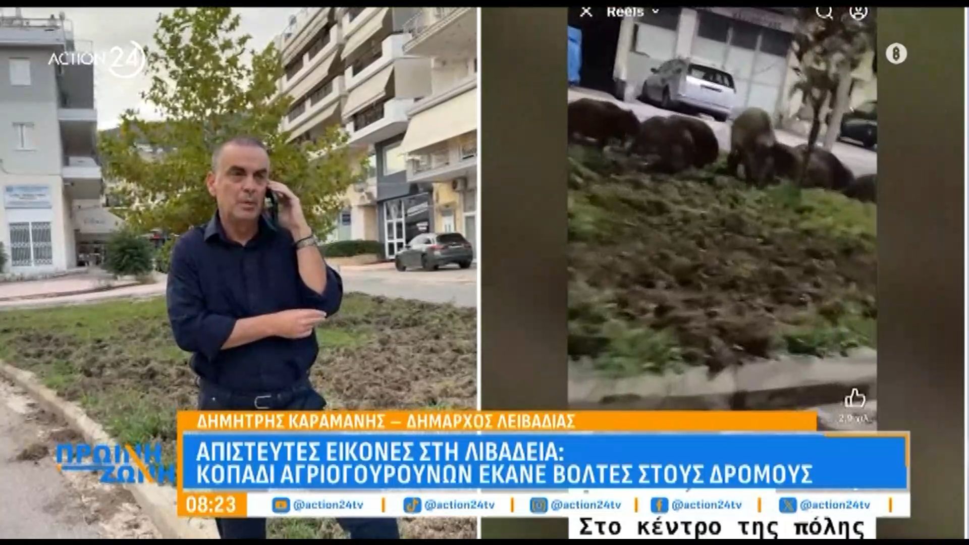 Δ. Καραμάνης: «Πλέον τα αγριογούρουνα περπατούν ανενόχλητα στους ...
