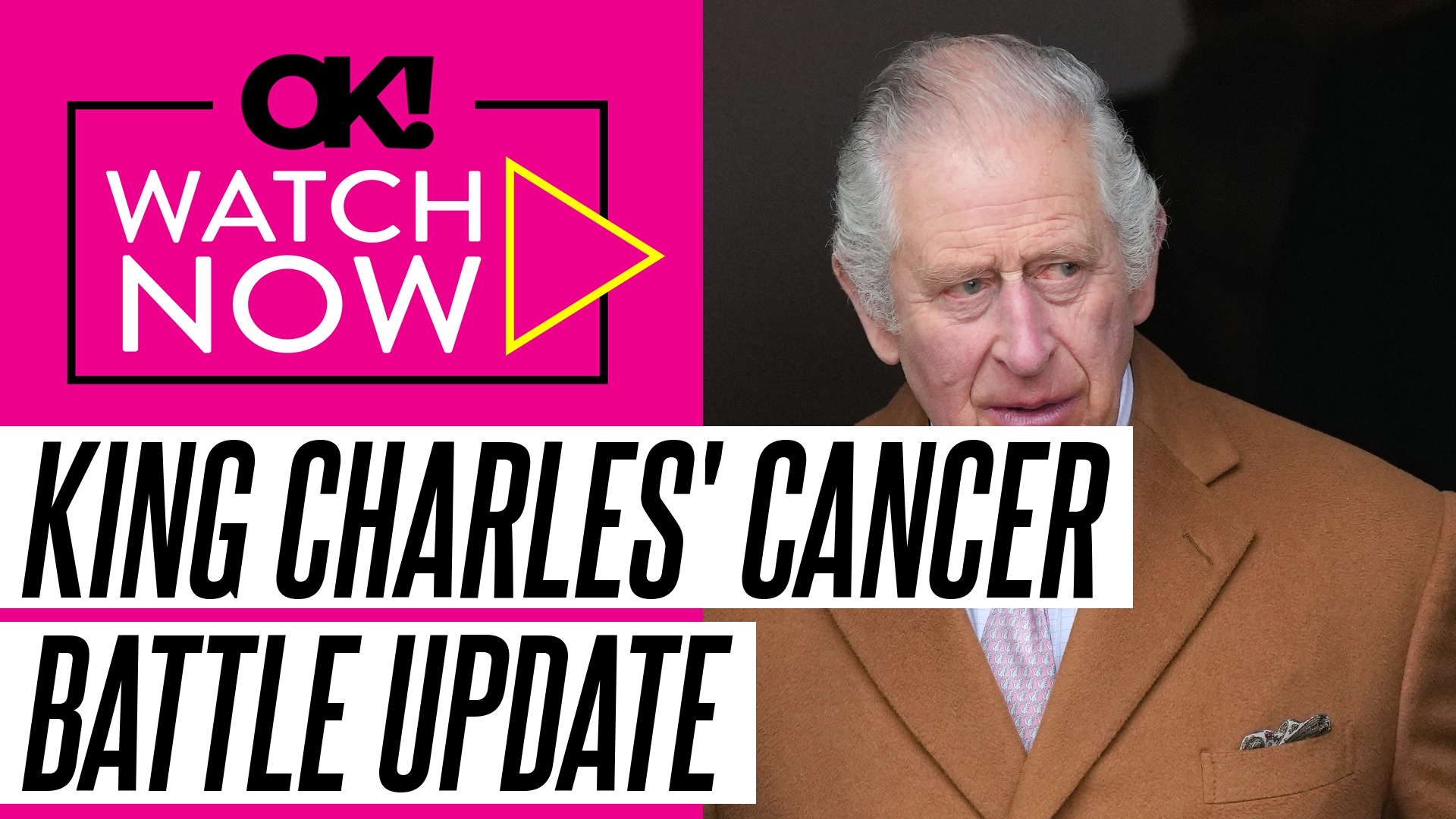 King Charles Gives Rare Update on His Cancer Battle: Not Doing 'Too Bad'