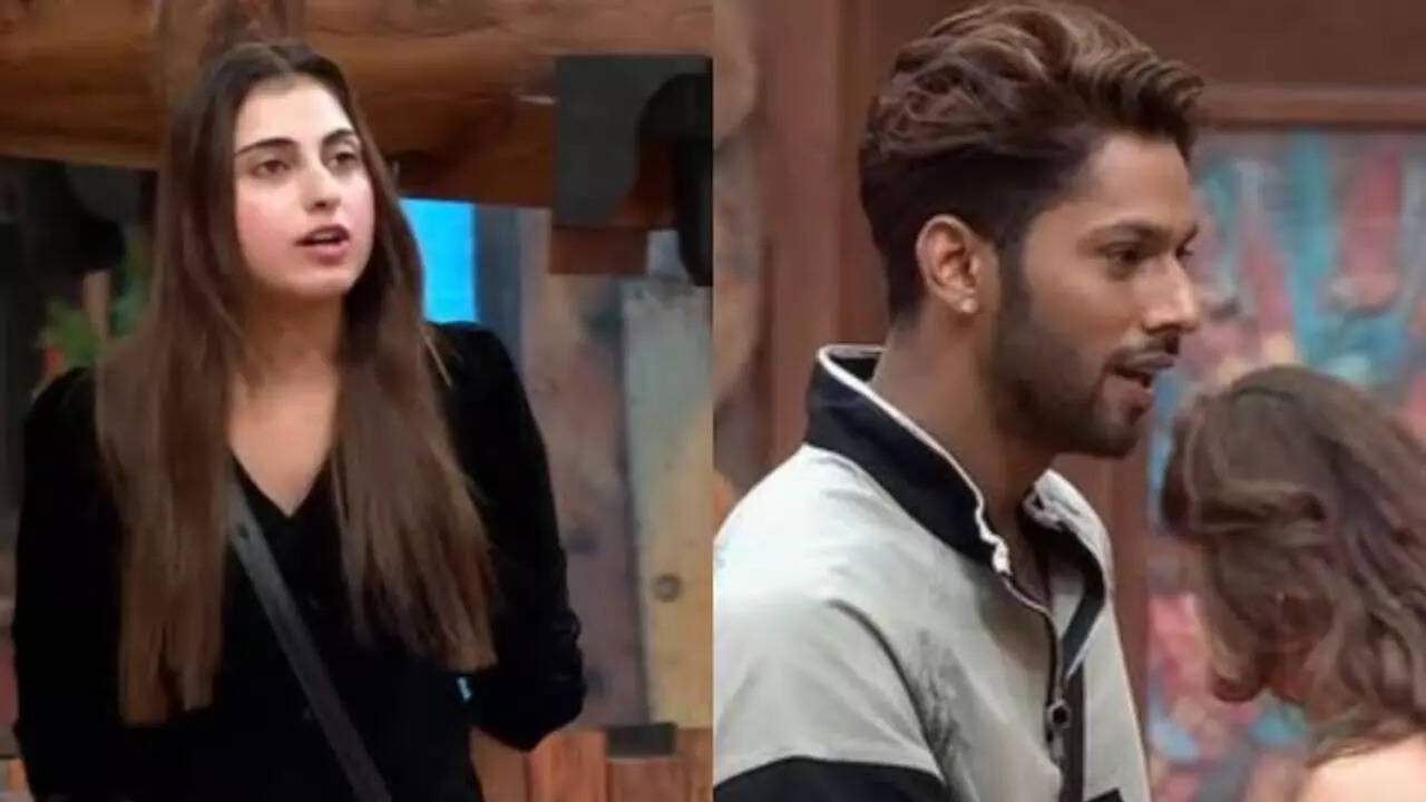 Bigg Boss 19: Netizens praise Baseer Ali and Farhana Bhat’s chemistry; call it ‘adorable’