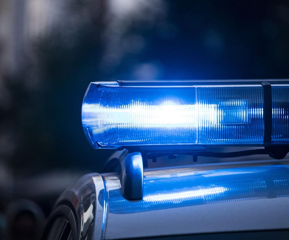 Wypadek w lesie pod Złotoryją. Ranna kobieta utknęła na stromym zboczu