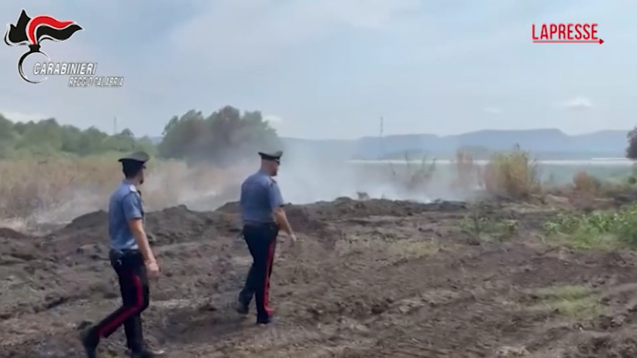 Gioia Tauro, scoperta discarica abusiva con 70 tonnellate di compost ...