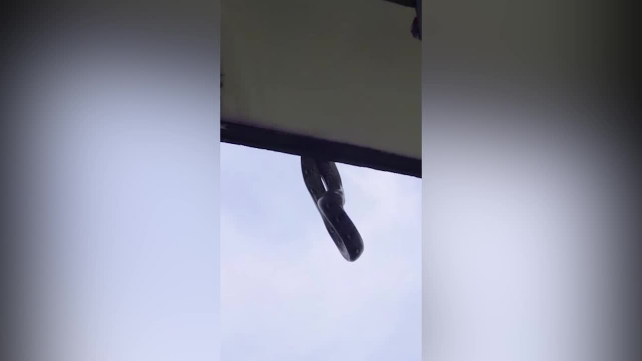 Massive python on school roof shocks students and teachers