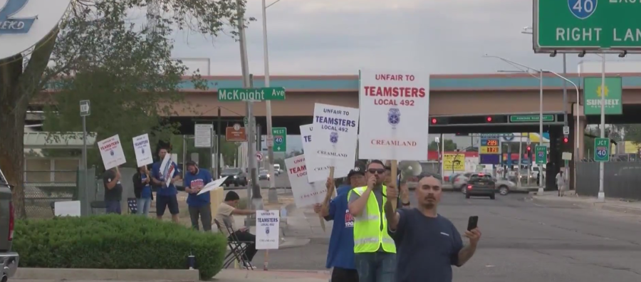 Creamland Dairy workers strike over pay and working conditions