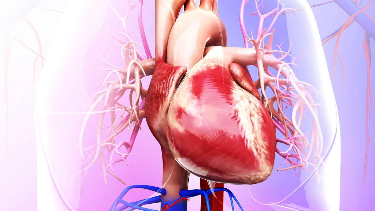 Heart health: 5 everyday foods that could be saving our hearts without ...