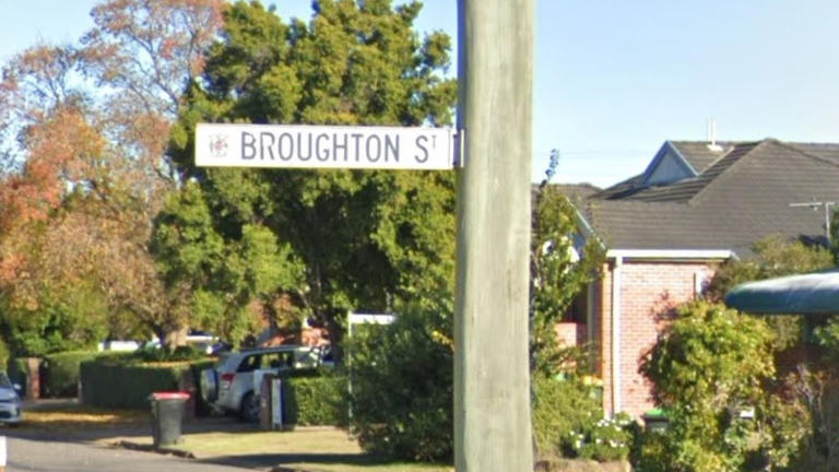 Teenage girl dies in hospital after Singleton dog attack last week
