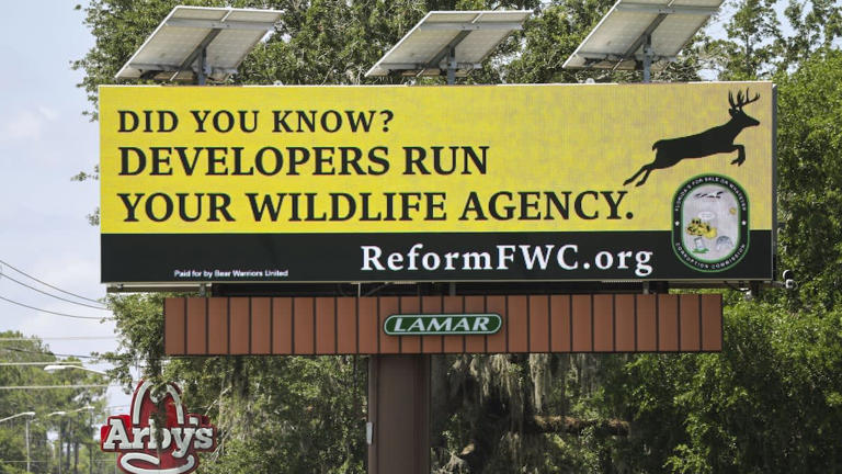 More conservation voices needed on the Florida wildlife commission | Column