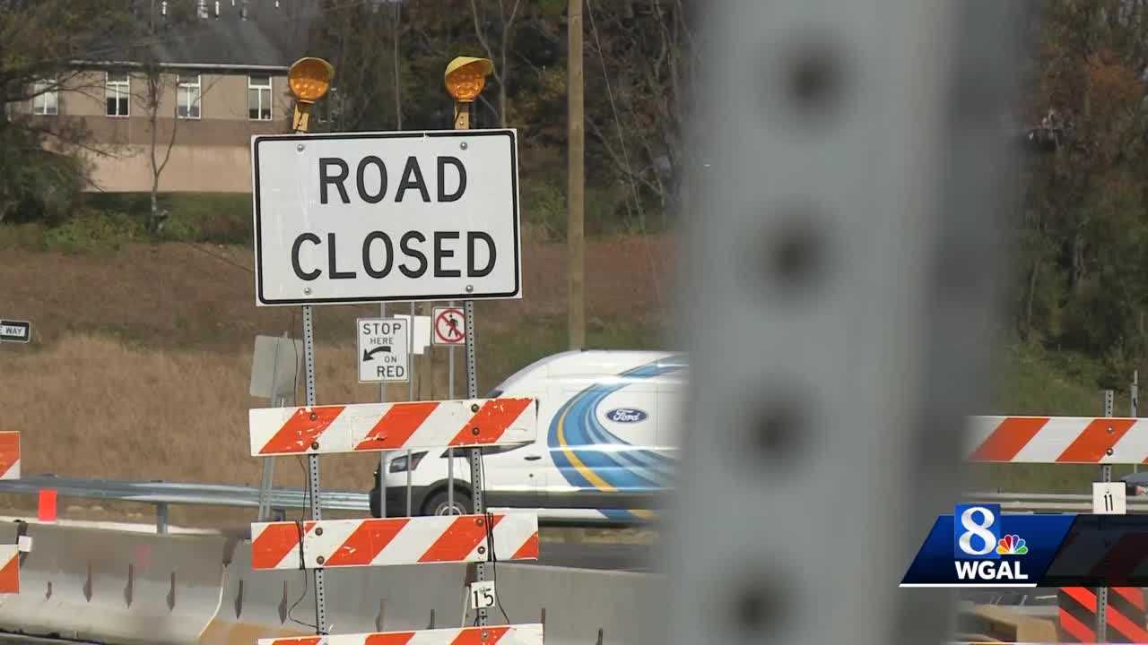Road shuts down in both directions after tree falls in roadway