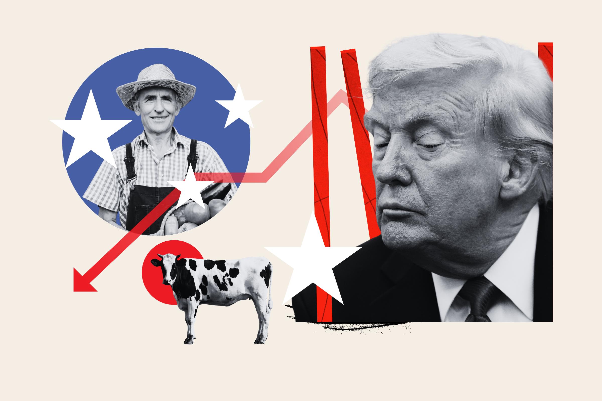 Donald Trump's approval rating slumps with rural Americans