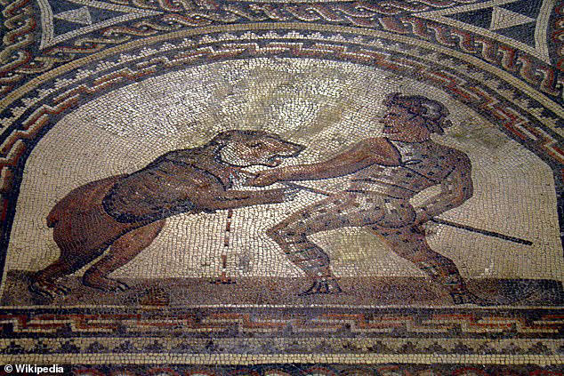 Roman Gladiators fought BEARS in the arena, fossil evidence reveals for ...