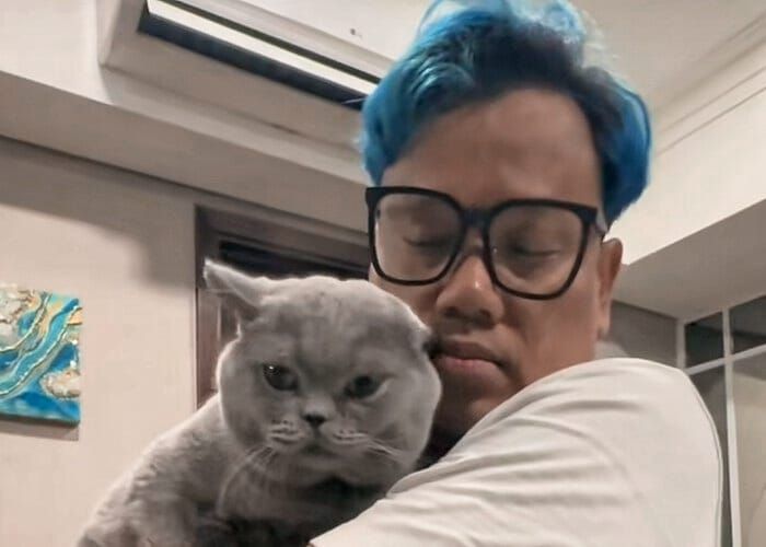 14 Kucing Uya Kuya Telah Kembali, Satu Kucing Masih Dalam Perawatan ...