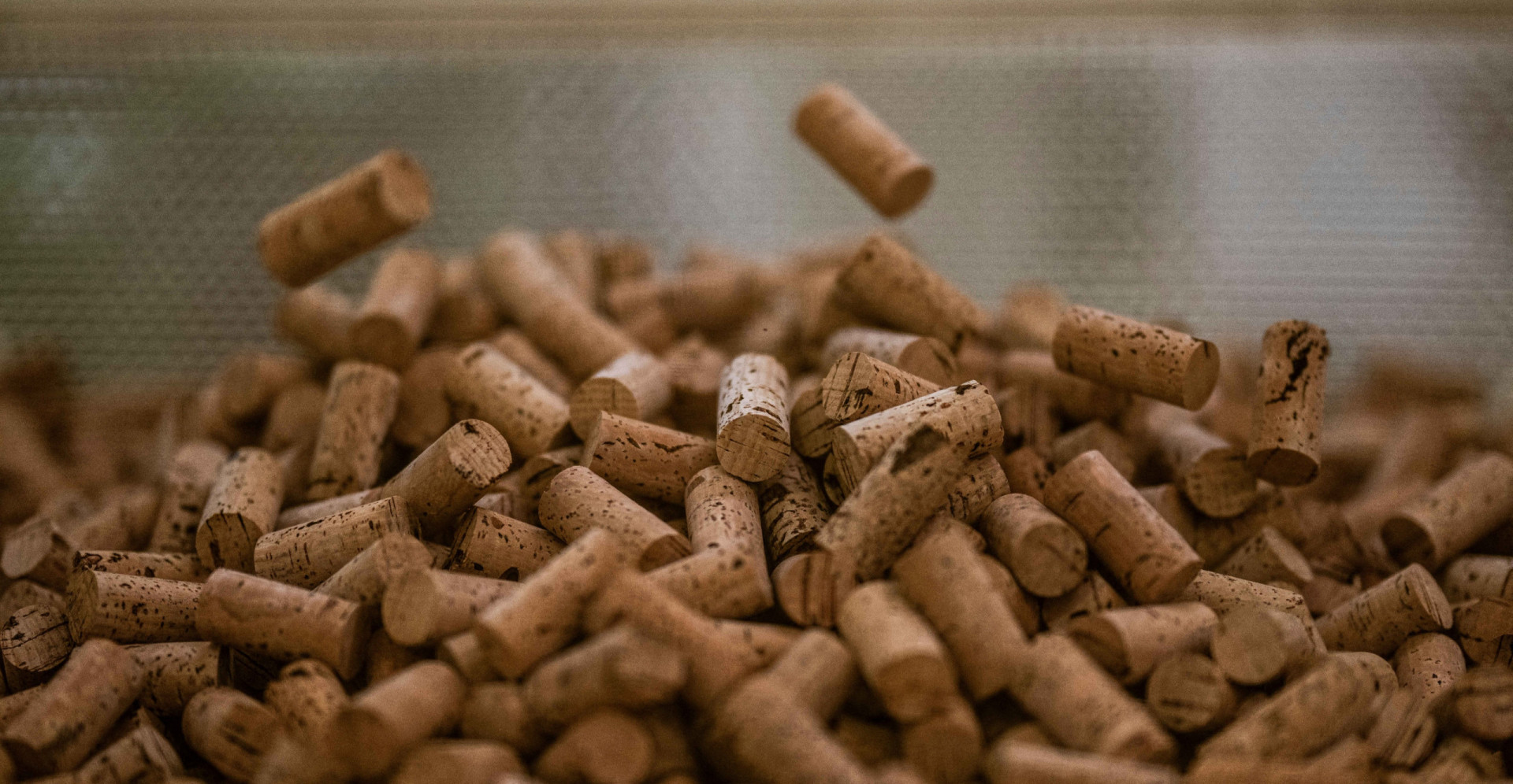 Cork: the world's most versatile and sustainable natural material
