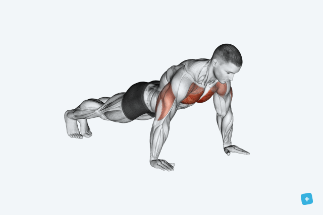 Treino de peito: 5 melhores exercícios para definir e aumentar (com ...