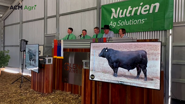 Top bull at Glenisa Angus goes to first-time buyer