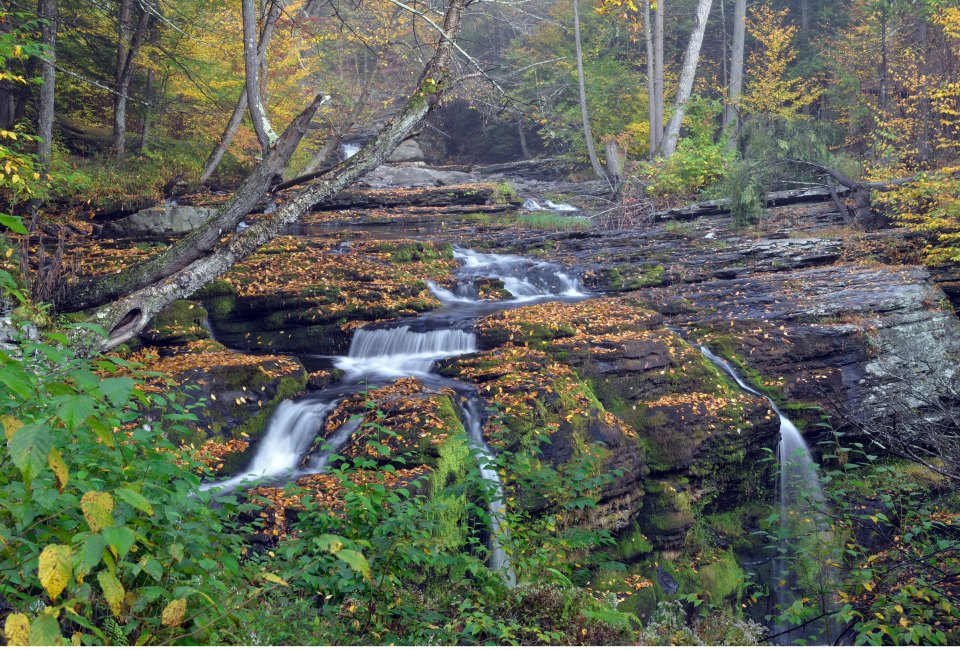 Best Kid-Friendly Trails in the Delaware Water Gap Perfect for Fall ...