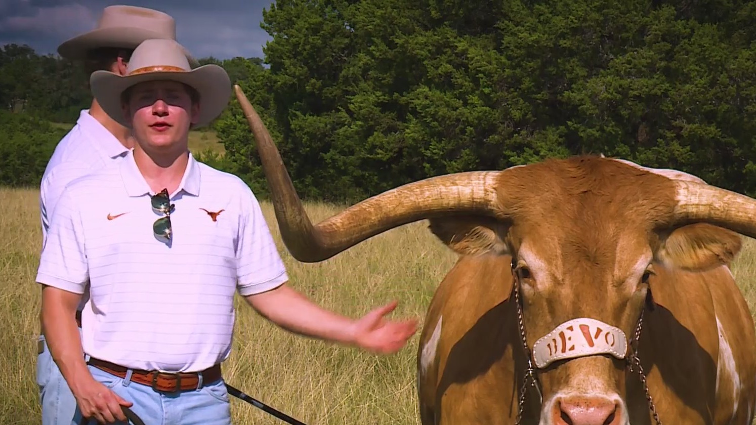 Meet Bevo the Texas Longhorn