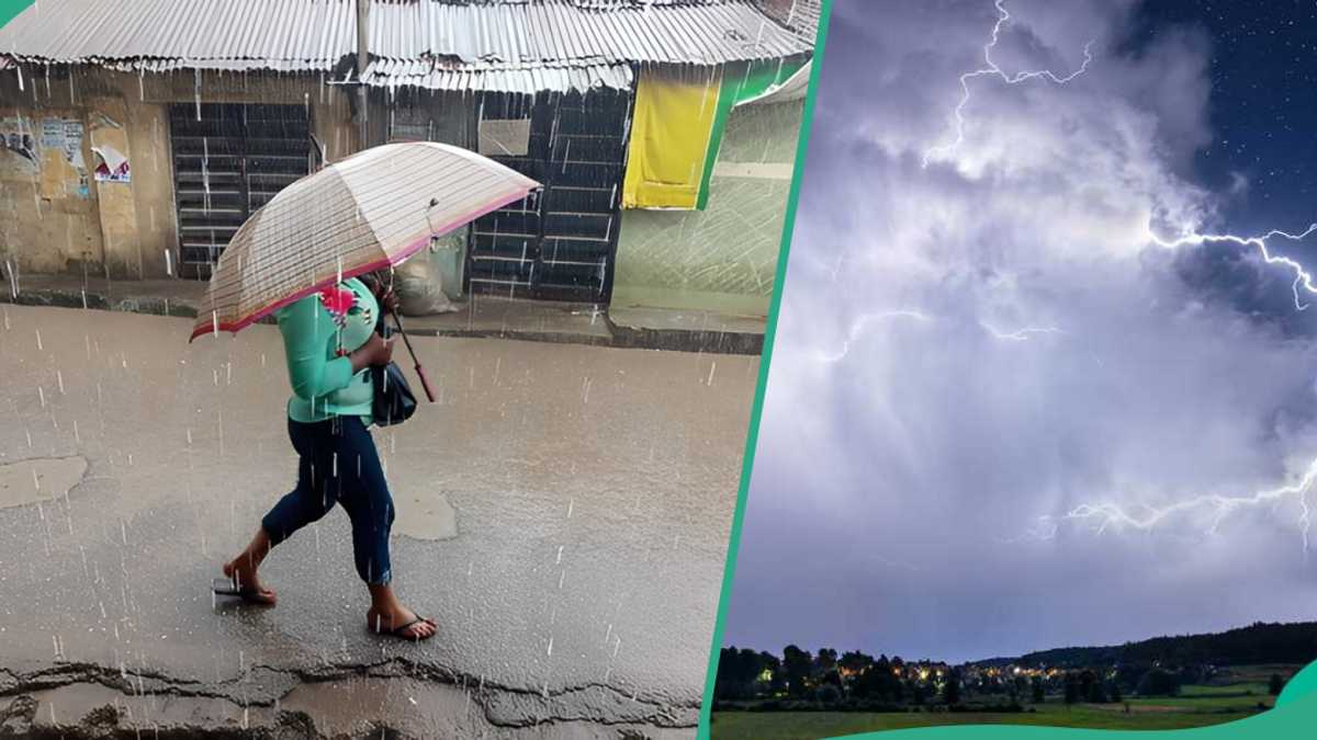 NiMet forecasts widespread thunderstorms and rainfall across Nigerian ...