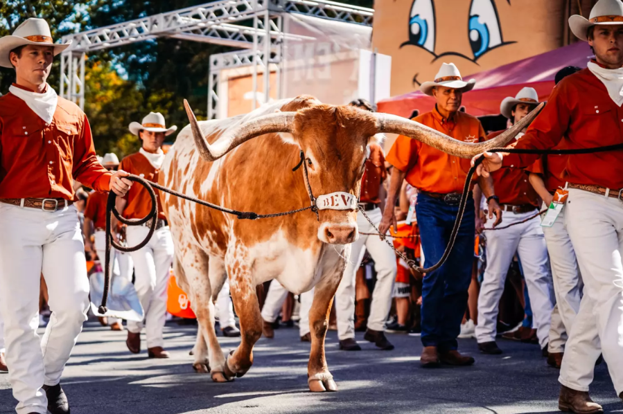 Texas Longhorns football game day guide from a KXAN insider
