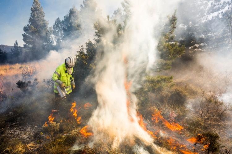 Les feux de forêt peuvent détériorer la qualité de l’air à des milliers ...